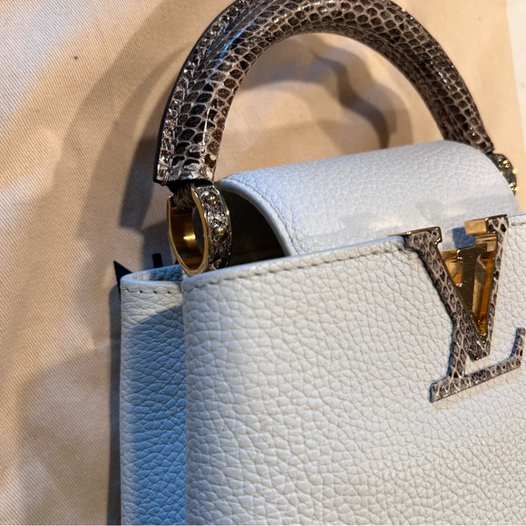 Louis Vuitton | Bags | Louis Vuitton White Pythontrimmed Taurillon Mini ...